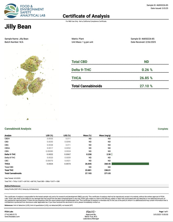 Jillybean - THCA Flower - BackWoodz - BW LLC