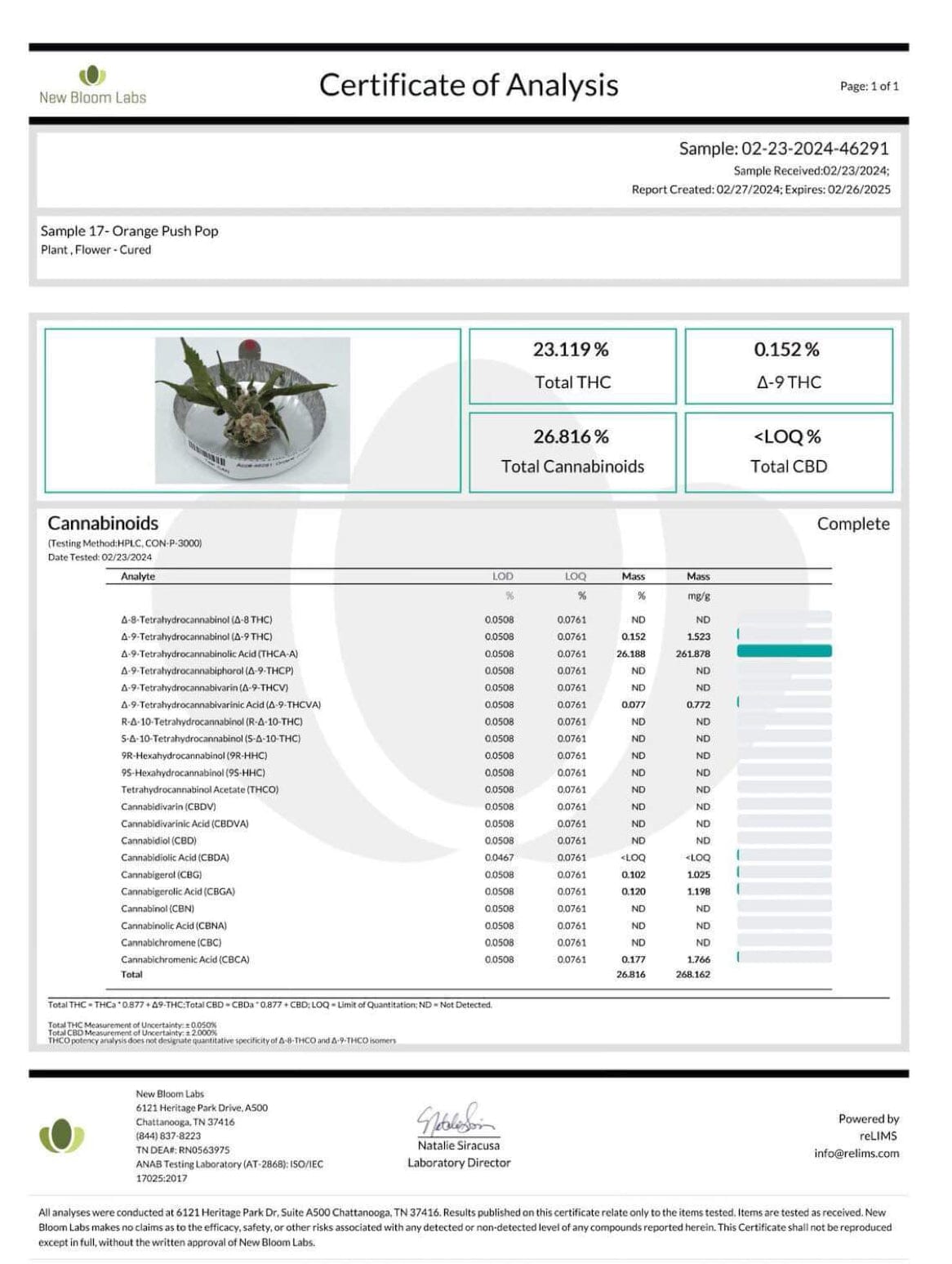 THCA Flower - Orange Push Pop - BackWoodz - BW LLC
