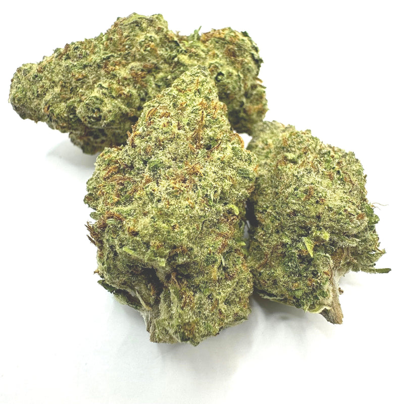 THCA Flower - Venom OG - BackWoodz - BW LLC